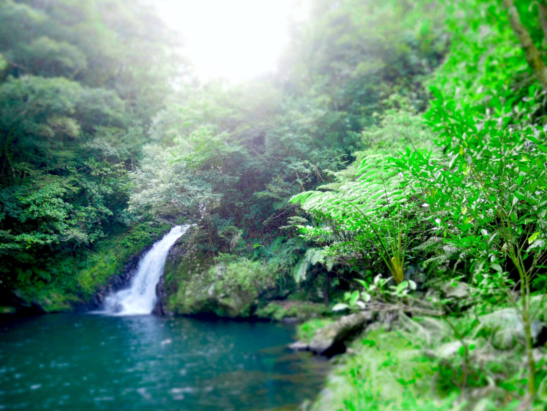 地元民がオススメする奄美大島の観光スポット - 黒糖焼酎れんとの奄美大島開運酒造